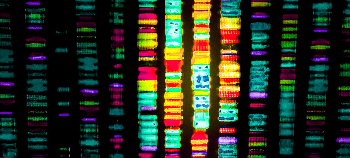 Croucher Summer Courses | Croucher Foundation